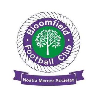 Bloomfield Ladies – N.I.W.F.A.
